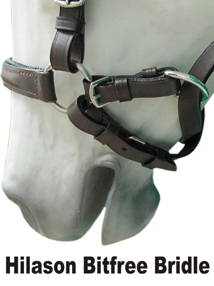 DEALS – Hilason Saddles and Tack